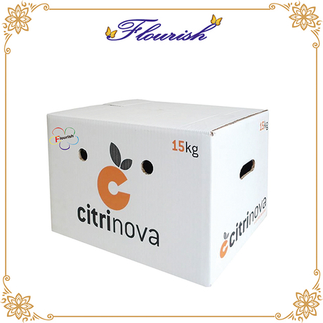 White Corrugated Board Vegetable And Fruit Shipping Packaging Carton ...
